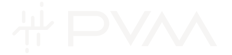 About Us | SDVOSB Government Digital Services– PVM