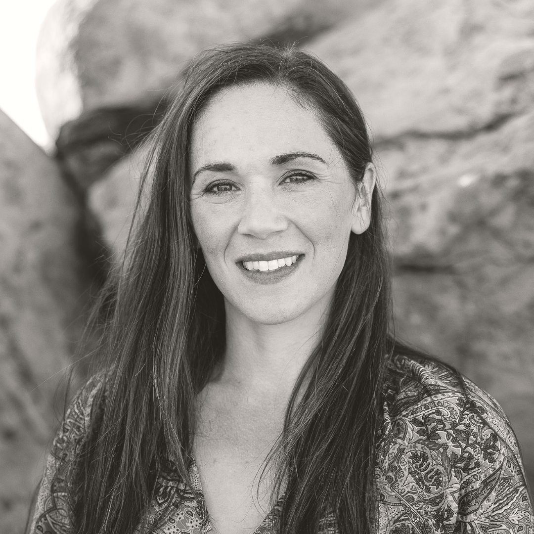 About Us | SDVOSB Government Digital Services– PVM