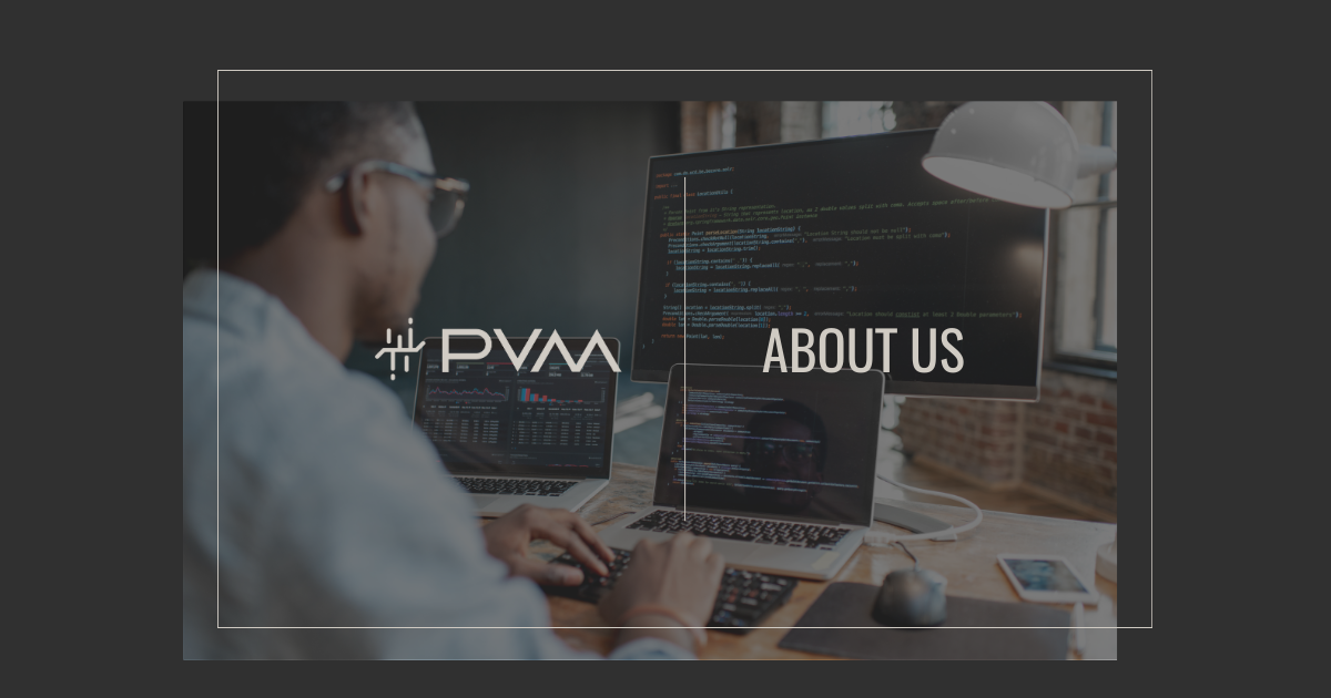 About Us | SDVOSB Government Digital Services– PVM