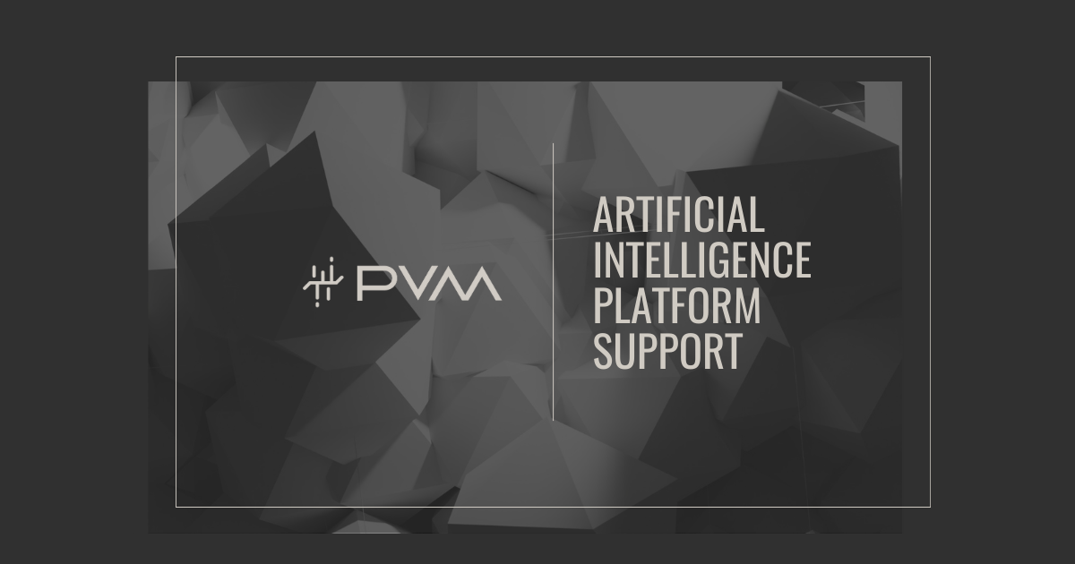 Government Artificial Intelligence Platform Support – PVM